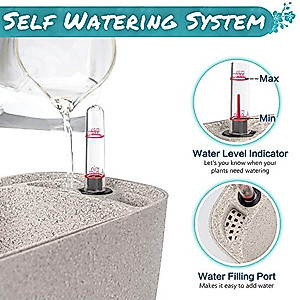 Amazing Creation Windowsill Rectangular Self Watering Herb Garden, Plastic Planter Pot for Herbs, Greens, Flowers, House Plants and Succulents, Indoor/Outdoor Flower Pot (Stone Color)