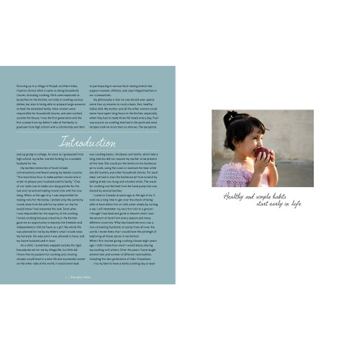 Everyday Indian: 100 Fast, Fresh and Healthy Recipes