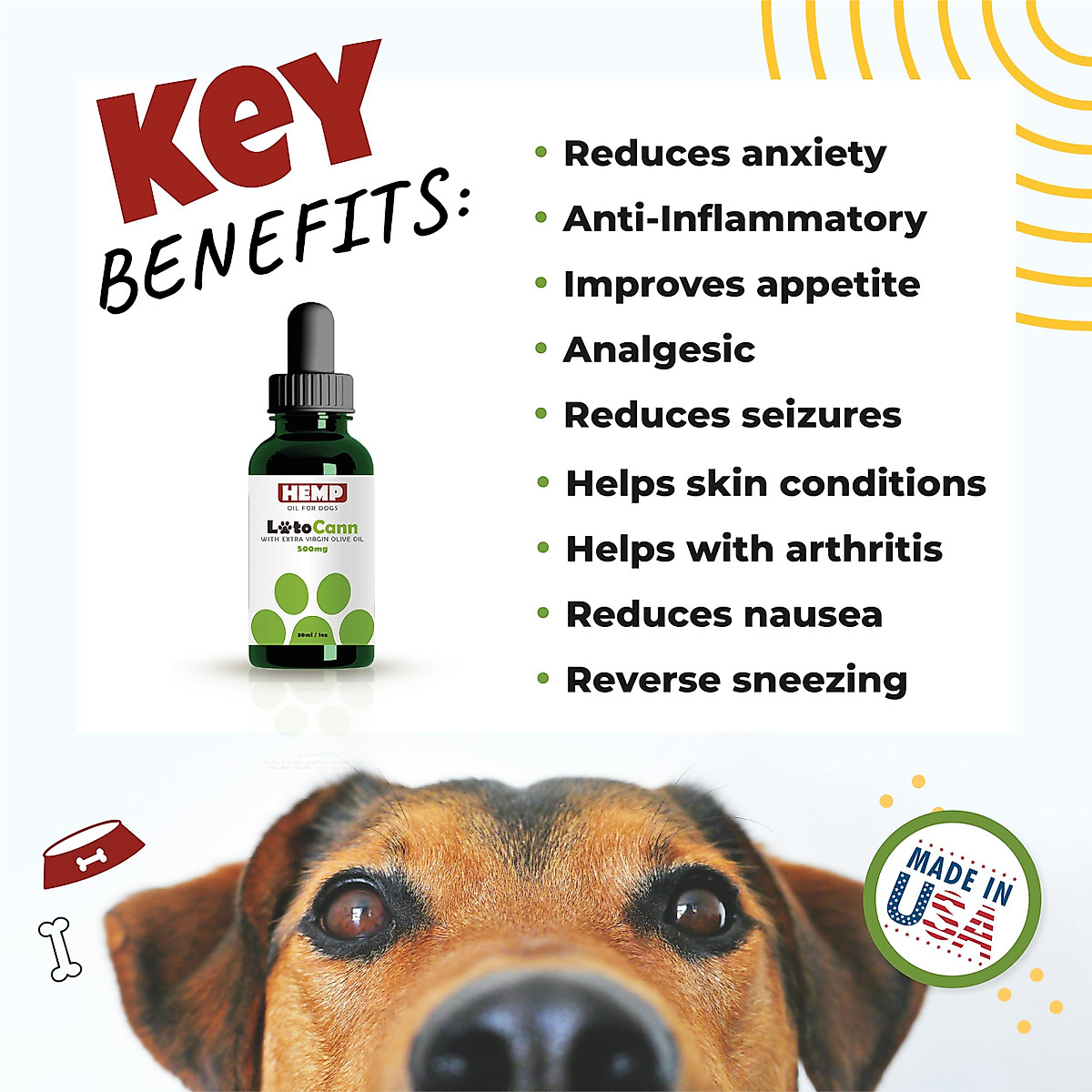 (2 Pack) Latocann Hemp Oil for Dogs and Cats: Natural Relief for Pet Anxiety, Joint Pain, and Digestive Health for Dogs and Cats