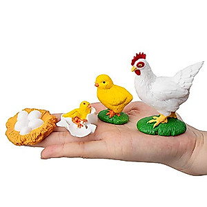 Toymany 16PCS Life Cycle of Goose White Swan Chicken Duck Farm Animals Figures, Plastic Safariology Growth Cycle Eggs Figurines Toy Kit School Project Cake Topper for Kids Toddlers