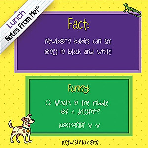 Notes From Me! Lunch Box Notes for Kids - Lunch Facts & Funnies - 101 tear-off Lunchbox Notes for Kids that Make Lunch Fun & Educational, Bored Kids Activities, Summer Camp, Back to School Essentials