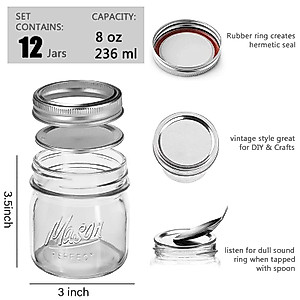 12Pack Mason Jars 8oz with Airtight Lids and Bands - Regular Mouth Glass Canning Jars, Small Half Pint Mason Jars for Preserving, Pickling, Honey, Jam, Jelly, Kitchen Spice jars, DIY Gift