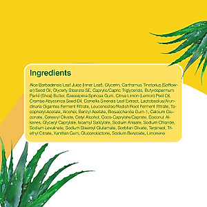 Alba Botanica Aloe Vera Lotion for Skin, Soothing After Sun Treatment for Face and Body, Made with Purity Certified 80% Aloe Vera Gel Formula, 8 fl. oz. Tube