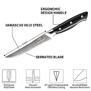 18 Pieces Damascus Kitchen Knife Set, 8 Piece Steak Knives, Non-slip ABS Ergonomic Triple Rivet Handle for Meat Fork, Knife Sharpener and Shears, 17 Slots Fraxinus Manchuria Knife Block (Grey)