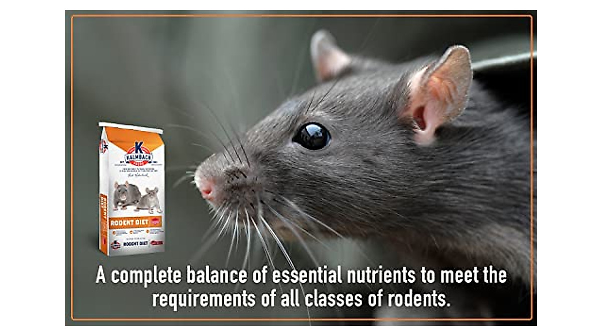 Kalmbach Feeds 18% Rodent Diet Cubed Feed for Rats and Mice in All Life ...