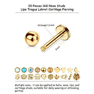 Blulu 20 Pcs 16g Stainless Steel Nose Studs Straight Nose Rings Body Piercing Jewelry 20 Styles for Women Men