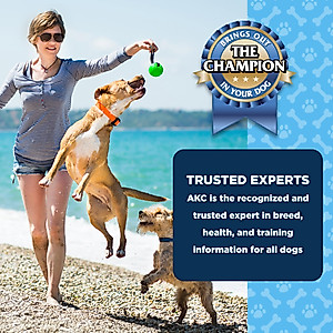 American Kennel Club Dentacare Large Breed Peanut Flavored Dental Dog Treats, Naturally Flavored, 15 Count