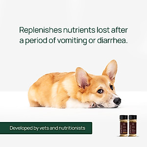 pawTree pawPairings Bone Broth Powder Food Topper & Flavor Enhancer for Any Cat or Dog Food - Source of Protein, Glycine and Antioxidants - Chicken Bone Broth - 3 oz