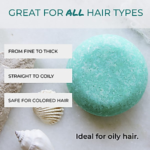 Suds & Co. Solid Shampoo Bar, Zero Waste Shampoo, Natural Shampoo Bar Soap, Sustainable, Eco-Friendly Hair Care - Seaside,3.0 Ounce