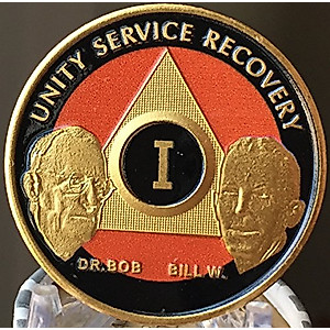 1 Year Founders AA Medallion HD Orange Black Gold Plated Bill & Bob Chip