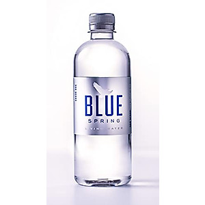 Blue Spring Living Water, Pure Premium Natural Spring Water, pH balance of 7.1-7.2, Bottled Spring Water, 16.9 Fl Oz, (Pack of 12)