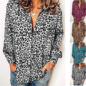 Andongnywell Women's V Neck Chiffon Blouses Tops Long Sleeve Leopard Shirts Blouse t Shirts for Ladies (Blue,5,XX-Large)