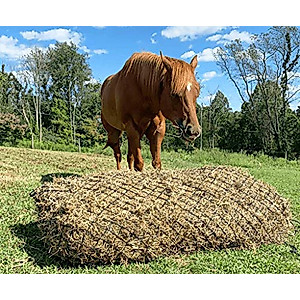 Derby Originals 90" X-Large Slow Feed Hay Bale Net Holds 1-2 Full Bales of Hay for Horses and Goats