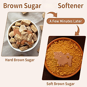 Sasylvia 8 Pcs Brown Sugar Keeper Terracotta Brown Sugar Saver Clay Rabbit Pineapple Owl Fish Bear Squirrel Leaf Softener for Food Storage Containers Keeping Soft and Dry