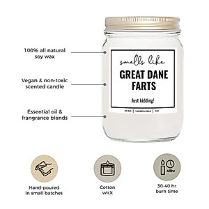 YouNique Designs Smells Like Great Dane Farts Candle 8 oz - Great Dane Gifts for Great Dane Lovers - Great Dane Gifts for Owners Dog Farts Candle - Funny Great Dane Mom Gifts (Lavender & Vanilla)