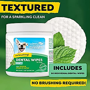 TropiClean Fresh Breath No Brushing Clean Teeth Dental & Oral Care Dental Wipes for Dogs, 50ct - Teeth Cleaning Wipes - Helps Wipe Away Plaque & Tartar - Freshens Breath - No Brushing Required