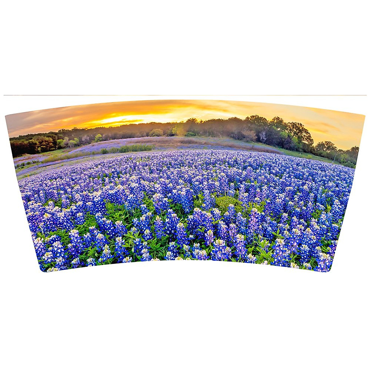 Mugzie 10 Ounce MINI Stainless Steel Travel Mug with Wetsuit Cover - Blue Bonnets