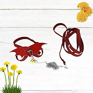 POPETPOP Turtle Wing Design Harness Strap Chest Collar Adjustable Rope Walking Control Rope Great for Turtle Reptile (Size S)