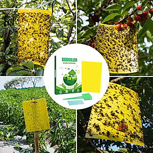 PESTCON 10PCS Yellow Sticky Traps for Plants Fungus Gnats Sticky Traps for Indoor or Outdoor Hanging Fruit Fly Traps for Catching Mosquitoes Whiteflies Aphids Leafminers... Twist Ties Included