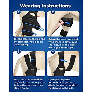 Huimpet Dog Hip Knee Leg Brace Dog ACL Brace for Front Torn and Back Hind Rear Legs ACL Tear, Dog Leg Brace for Hip Dysplasia, Dog Arthritis, Luxating Patella, Comfortable and Adjustable (M-Size)