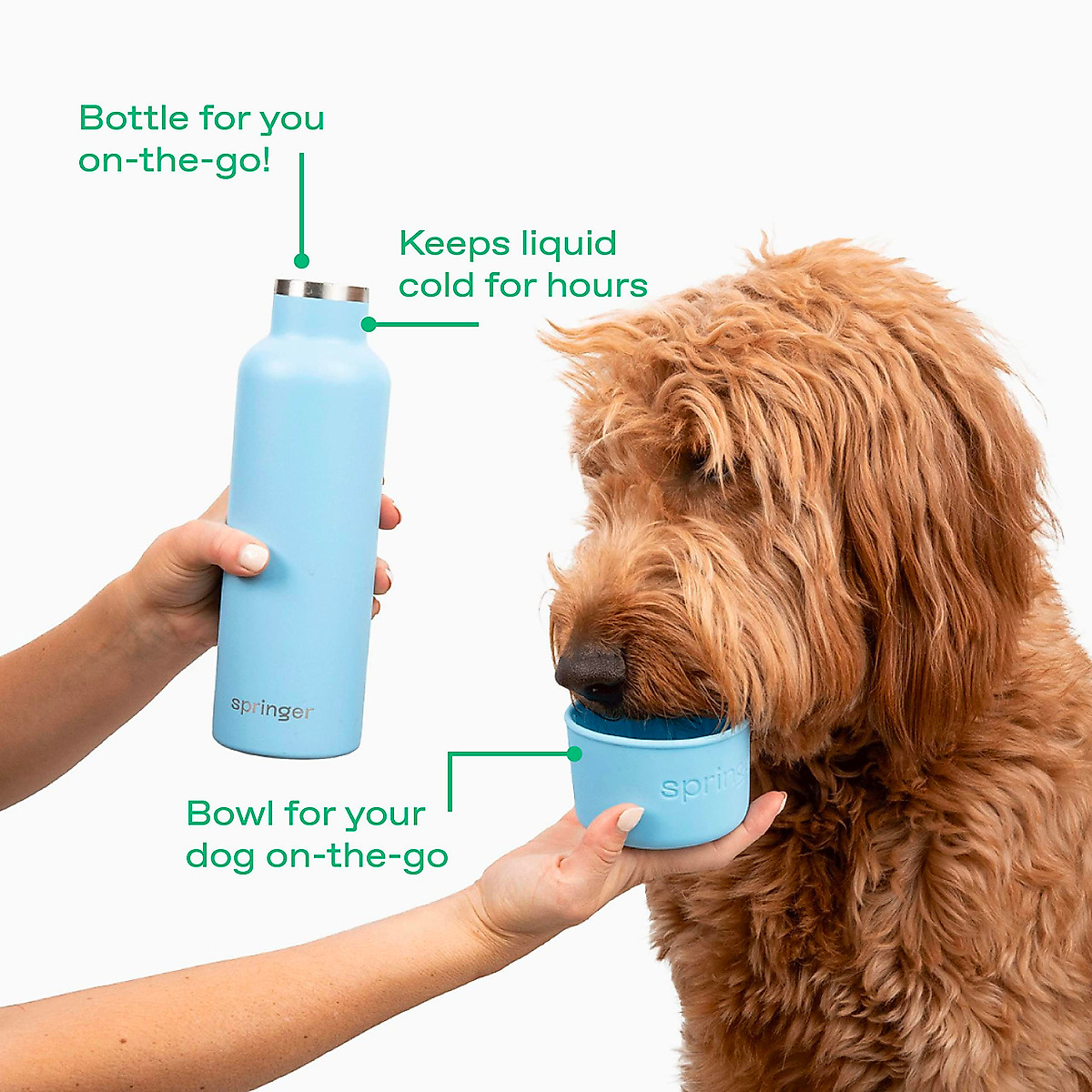 Springer Dog and Me Water Bottle, Stainless Steel Insluated Water Bottle, Keeps Water Cold for 12 Hours (White)