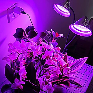 Briignite Grow Light, LED Grow Lights for Indoor Plants, Full Spectrum Plant Light, Grow Lamp with 3 Full Spectrum Modes, 10-Level Dimmable, Auto On Off Timing 3/9/12Hrs, Dual Heads
