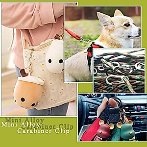 ZGQHZR 30Pcs Mini Alloy Carabiner Clip Tiny Spring Snap Hook Carabiners Zinc Alloy Mini Paracord Hook Keychain Claps EDC for The Keychain,Backpack,Decoration Hanging,Dog Leashes