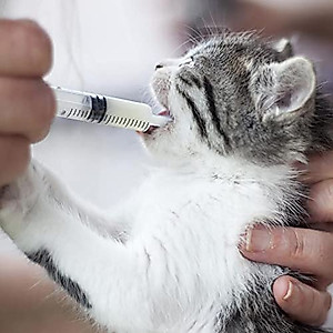 4 Pack Large Syringes for Liquid, 20ml & 60ml Plastic Syringe for Measuring, Lip Gloss TKP Lipgloss Base Flavoring Oil Food Oral Medicine Injection Feeding- with Tip Cap and Pipettes