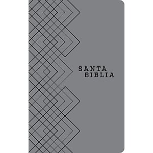 Santa Biblia NTV, Edición ágape (SentiPiel, Gris) (Spanish Edition)