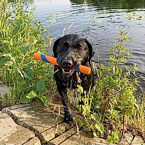 Chuckit Ultra Fetch Stick Outdoor Dog Toy, for All Breed Sizes