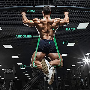 TheFitLife Pull Up Assistance Bands- Resistance Bands for Working Out, Long Workout Bands for Exercise, Fitness Band for Pullup Assist, a Substitute of Dumbbell Set and Kettlebells, Barbell