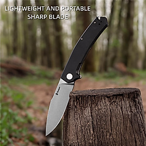 Warspear Degory Flipper Folding Knife 3.75" Stonewshed D2 Blade Black G10 Handle Outdoor Camping Fishing Pocket Knife With Deep Carry Clip WP902WBK