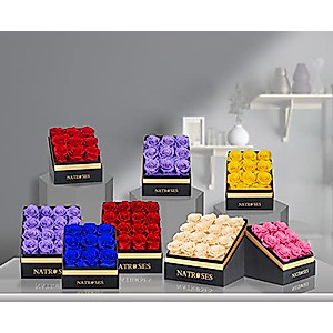 NATROSES Forever Preserved Roses in a Box, 100% Real Roses That Last Up to 3 Years, Flowers for Delivery Prime Birthday, Valentines Day Gifts for Her, Birthday Gifts (Dusty Rose)