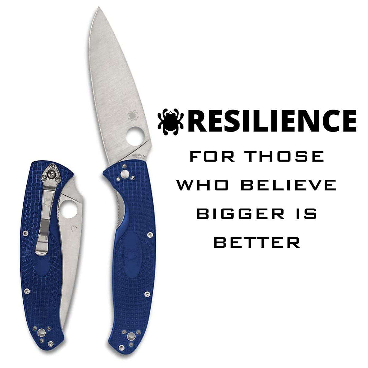 Spyderco Resilience Lightweight Folding Knife with CPM S35VN Stainless Steel Blade and Durable Blue FRN Handle - PlainEge - C142PBL