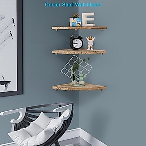 DUICIRX Corner Wall Shelves, Wood Corner Floating Shelves with Cable Raceway for TV Accessories, Monitor, Speaker, Cable Box, Game Console (Carbonized, Diamond- 12 Inch)