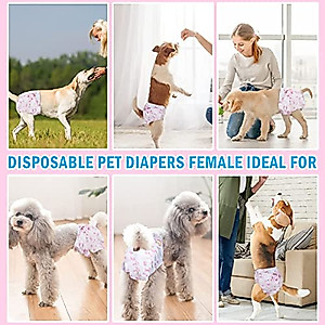 Dono Disposable Pet Diapers for Female Dogs Super Absorbent Soft Heating and Pee Puppy Diapers Female Liners, Including 20pcs XXS Diapers for Dogs and Cats