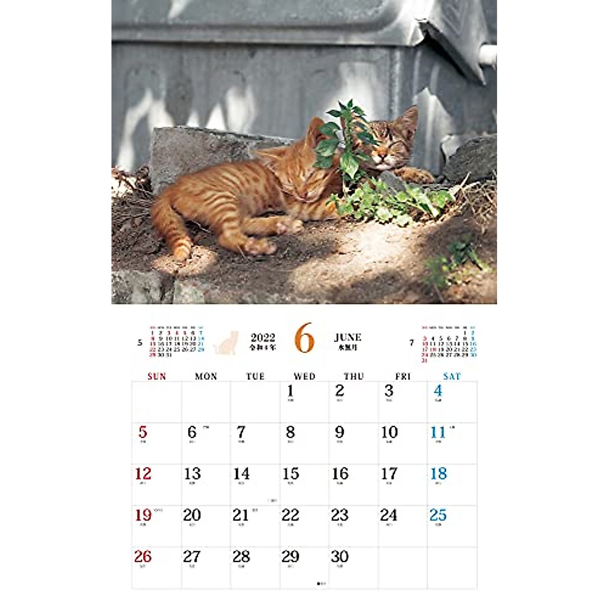 そとねこ (インプレスカレンダー2022)