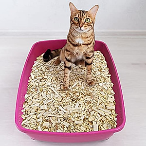 Double Tree Incense Cedar Wood Chips for Potted Plants, Garden, Animal Beddings and Litter Box - 100% Natural Perfect for Indoor and Outdoor Use… (4 Quart)