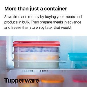 Tupperware Brand Freezer Mates Plus Stackables Set - Includes 1 Lid & 3 Food Storage Containers - Airtight, Dishwasher Safe & BPA Free