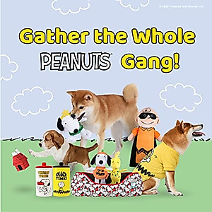 Peanuts for Pets Snoopy & Woodstock Feeling Lucky St Patrick’s Day Squeaky Pet Toy 2 Pieces Peanuts Dog Toys FF20325 Snoopy Leprechaun 9 Inch - 1 Pack