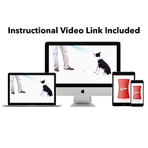 ShakeTrainer - The Original Humane Dog Training Kit with Instructional Video - Stops Your Dog's Bad Behaviors in Minutes Without Shocking or Spraying - Easy to Use - Now Made in The USA
