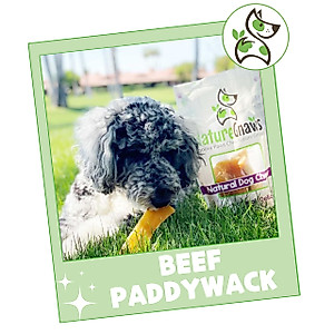 Nature Gnaws Beef Paddywack Tendons for Dogs 5-6" (10 Count) - Long Lasting for Aggressive Chewers - Natural Beef Dog Chew Bones - Rawhide Free