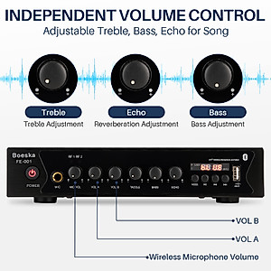 Wireless Microphone System UHF Dual Cordless Handheld Microphones Set for Home Karaoke, Singing, Speech, Party, Meeting, Church, 262ft Range (Black (w Battery))