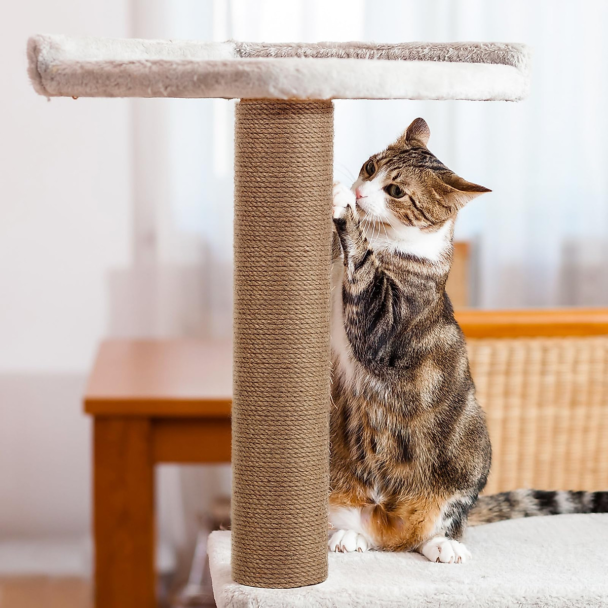 PETUOL 4 PCS M8 Cat Scratching Post Replacement, 15.7 x 3.1 Inches Cat Tree Replacement Post Jute Pole for Indoor Cats with M8 Screws, for Kitten Tree Tower Spare Cat Furniture Accessories