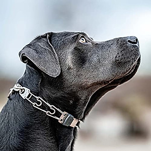 Sprenger ClicLock Fastener Stainless Steel Buckle for Prong Dog Training Collar & Quick Release with Easy Buckle for Small Dogs (2.25mm)