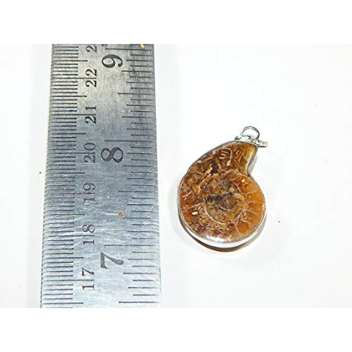 XUETZALCOATL Golden Shaligram Pendant Enerziged 21.1ct