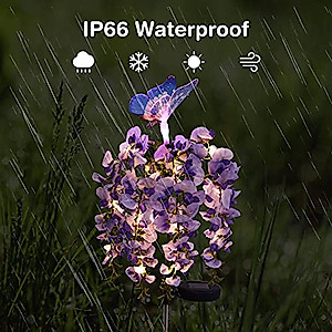 Solar Flowers Lights Outdoor ,Doingart Wisteria Floral Butterfly Solar Lighte with Multi-Color Changing LED Solar Lights for Garden Patio Backyard Pathway Lawn (Purple)