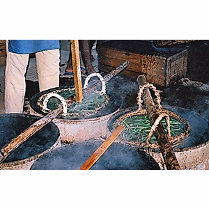 25 Tahitian Extract Grade B Vanilla Beans 4~6" by Vanilla Products USA