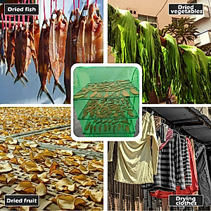 WEISGJA Hanging Drying Rack 4 Layers Foldable Nylon Netting, Folding Fish Mesh, Drying Fish Net for Shrimp Fish Fruit Vegetables Herb, with Zipper Opening, Green (22.4X15.7X25.5 in/Large)