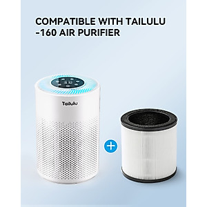 Air Purifier Filter for Tailulu 160 Air Purifier, 3-in-1 True H13 HEPA Filter, 1 Pack